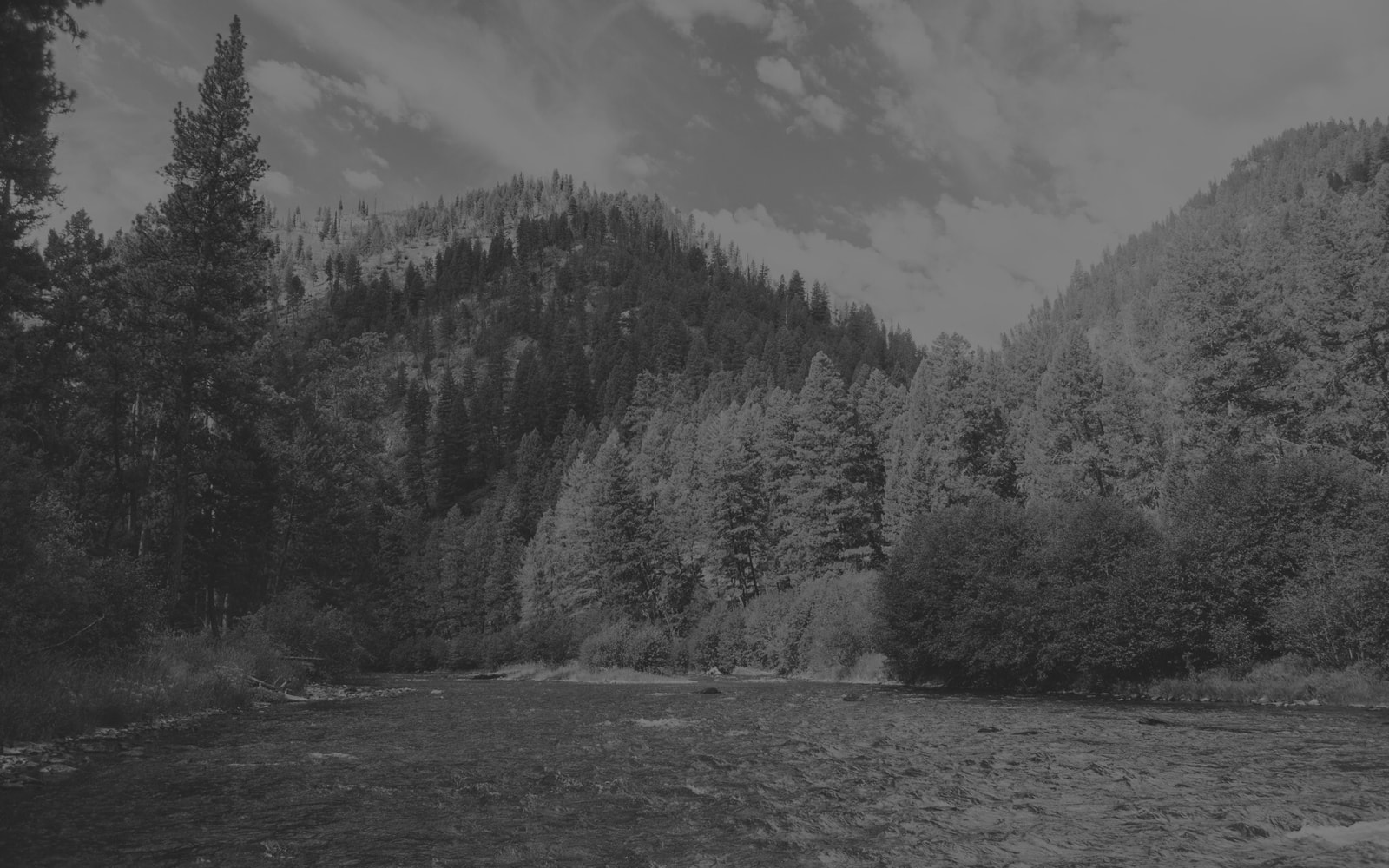 The Signature Series by Reilly Rod Crafters | Heirloom Fly Rods